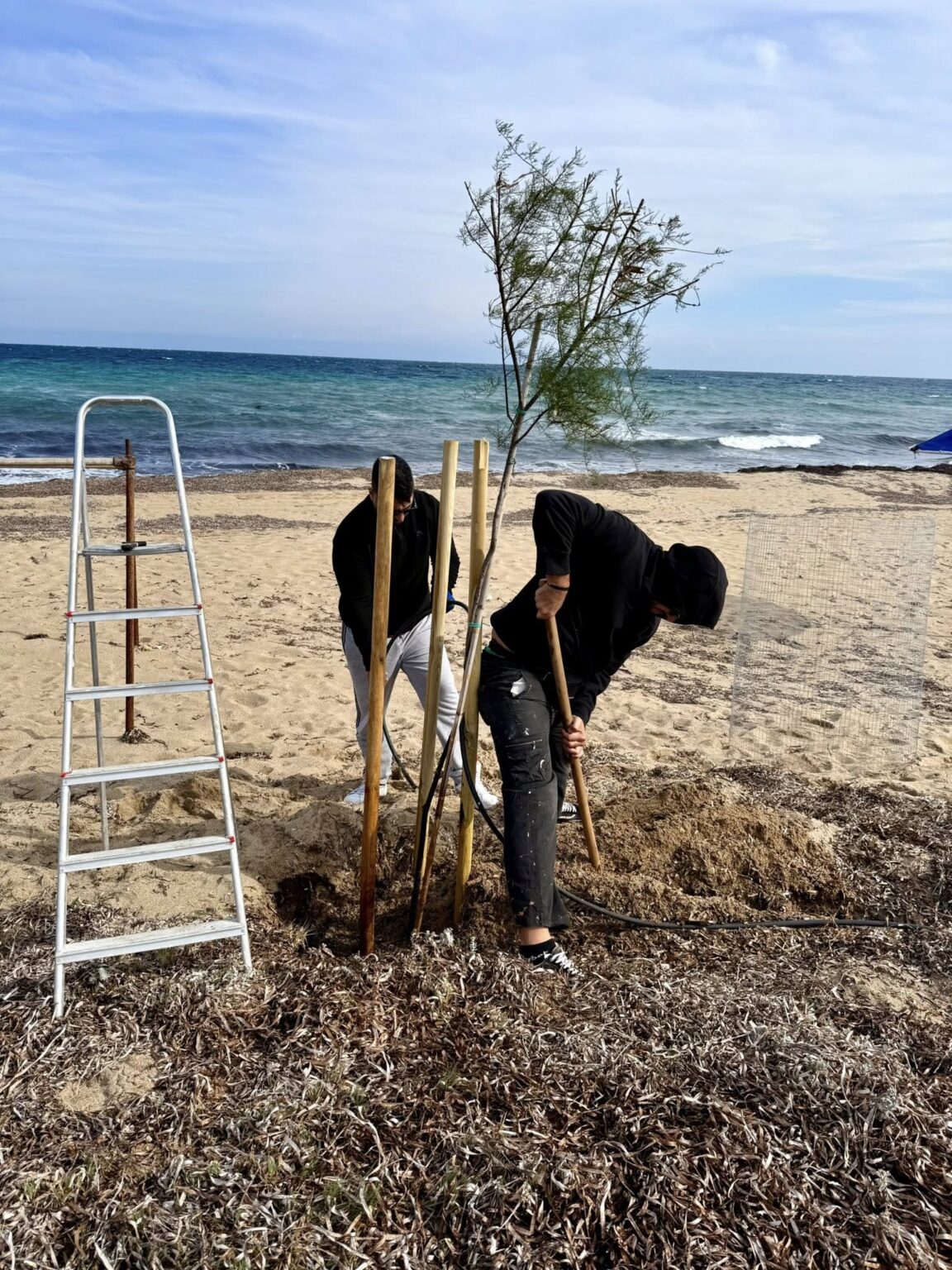 ΔΕΝΤΡΟΦΥΤΕΥΣΗ ΣΤΗΝ ΠΑΡΑΛΙΑ ΛΟΥΡΙ - Μ.Ε.Α.Σ - Ράδιο Λήμνος